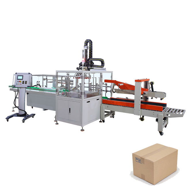 Automatic Crab Case Packing Machine - Urmachine